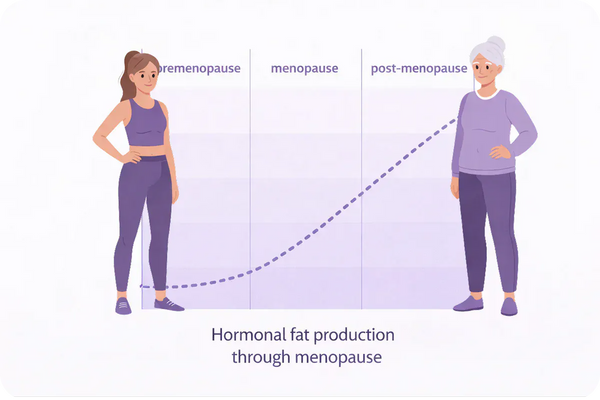 Hormonal fat illustration